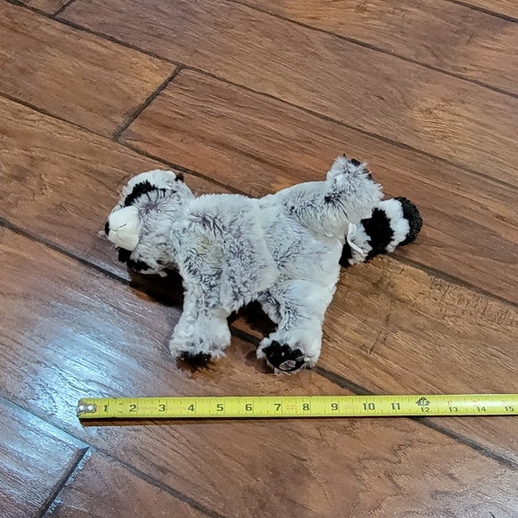 GANZ | Toys | Ganz Webkins Plush Raccoon | Poshmark